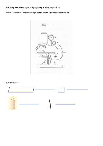 Biology: using a microscope and preparation of a sample slide ...