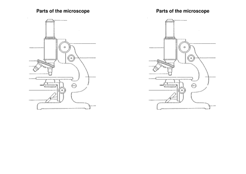 Biology: using a microscope and preparation of a sample slide ...