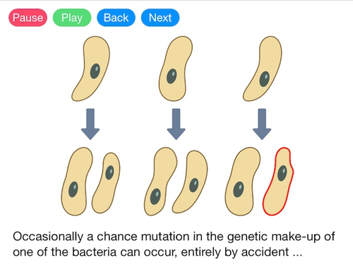 Mutations (Video) | Teaching Resources