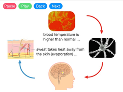 Thermoregulation (Video) | Teaching Resources