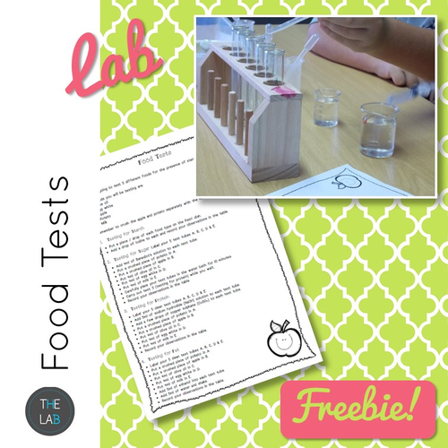 Food Tests FREEBIE | Teaching Resources
