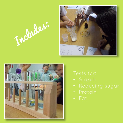 Food Tests FREEBIE | Teaching Resources