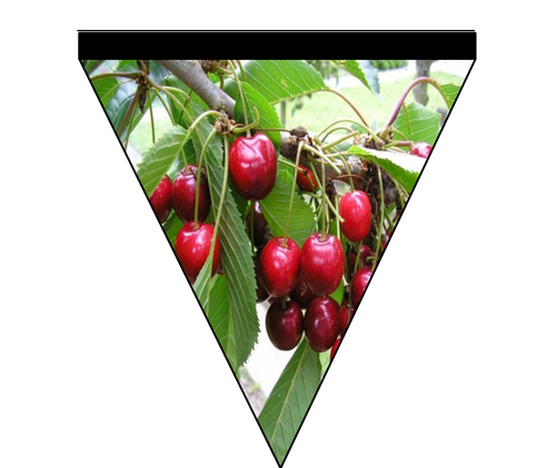Cherry Class Bunting | Teaching Resources