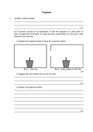 Biology: Tropisms | Teaching Resources