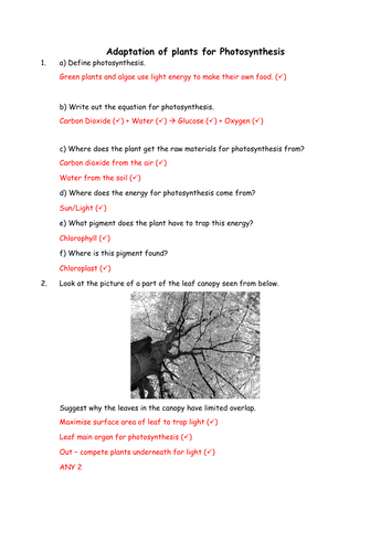 Biology: Plant adaptation | Teaching Resources