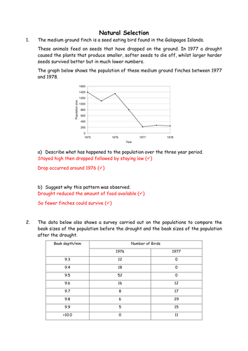 Biology: Natural selection | Teaching Resources