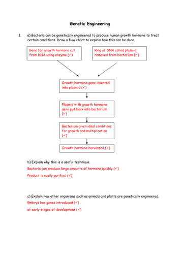 Biology: Genetic engineering | Teaching Resources