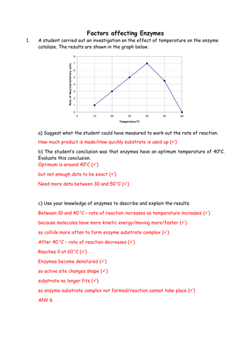 Biology: Factors affecting enzymes | Teaching Resources
