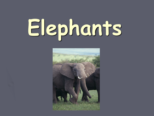 Elmer the Elephant Resource Pack | Teaching Resources