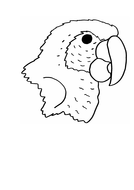 Handa's Surprise Resource Pack | Teaching Resources