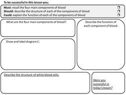Components of Blood Edexcel GCSE worksheet | Teaching Resources