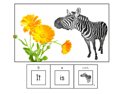 Verbs Adapted Book Animal Actions | Teaching Resources