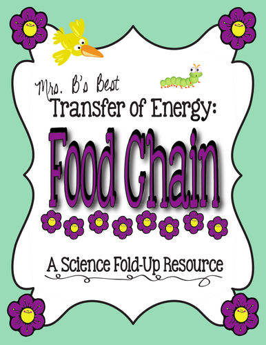 Food Chain Foldable - Transfer of Energy | Teaching Resources