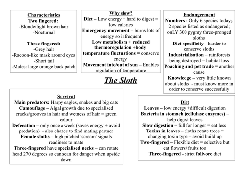 The Sloth - a comprehensive snapshot | Teaching Resources