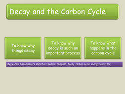 Decay and the Carbon Cycle | Teaching Resources