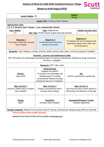 Unit 2: Organisation - ALL RESOURCES & PLANS (UPDATED June 16 ...