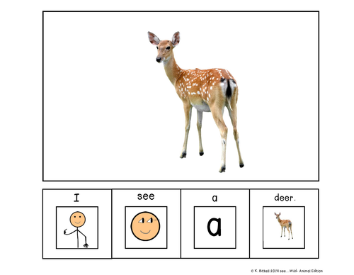Easy Reader Wild Animals | Teaching Resources