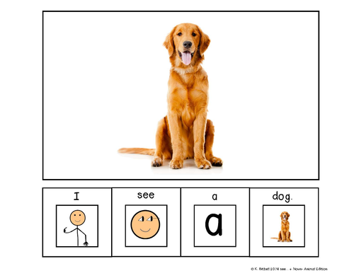 Easy Reader Pet Animals | Teaching Resources