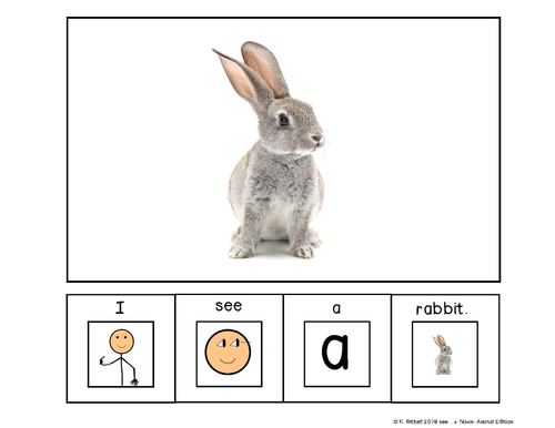 Easy Reader Pet Animals | Teaching Resources