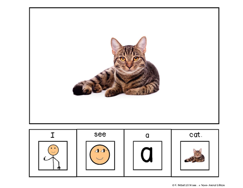 Easy Reader Pet Animals | Teaching Resources