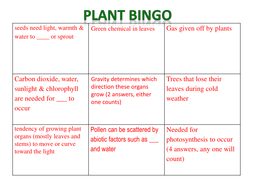 Plant bingo | Teaching Resources