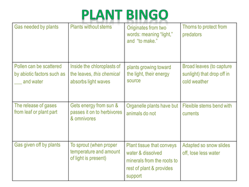 Plant bingo | Teaching Resources