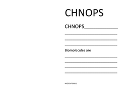 Biomolecules for Biology Bundle | Teaching Resources