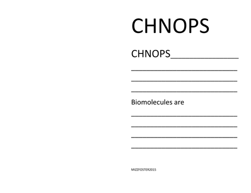 Biomolecules for Biology Bundle | Teaching Resources