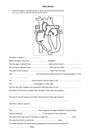 The heart- structure and cardiac cycle | Teaching Resources