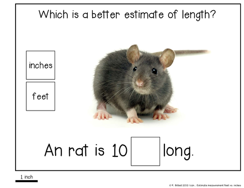 Estimate Measurement Feet Vs. Inches | Teaching Resources