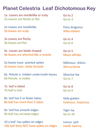 Leaf dichotomous key, plant adaptation gallery walk | Teaching Resources