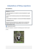 Adaptations of living organisms | Teaching Resources