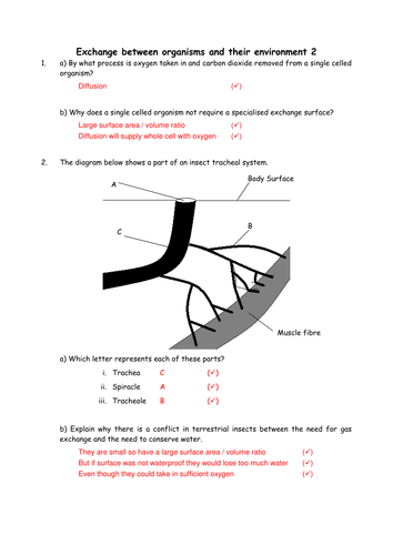 Biology: Exchange and Transport Systems Collection A Level Year 1 ...