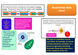 Introduction to Respiration | Teaching Resources