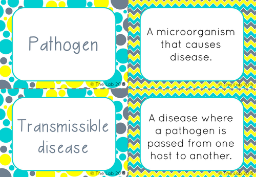 Immunity BUNDLE by liezelpienaar - UK Teaching Resources - TES