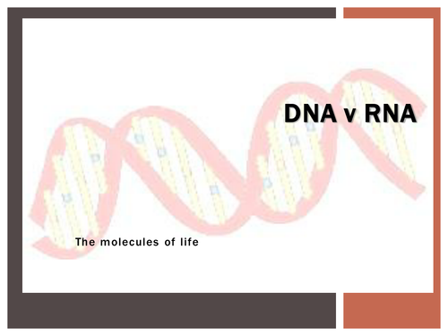 DNA v RNA | Teaching Resources