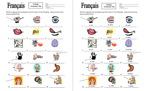 French Body Parts Vocabulary 18 Image IDs Worksheet | Teaching Resources