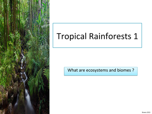 Tropical Rainforests 1: What are Ecosystems? | Teaching Resources