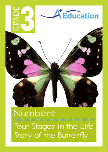 Numbers - Four Stages in the Life Story of the Butterfly - Grade 3 ...