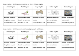 Biology: ecology - matching kingdoms and definitions | Teaching Resources