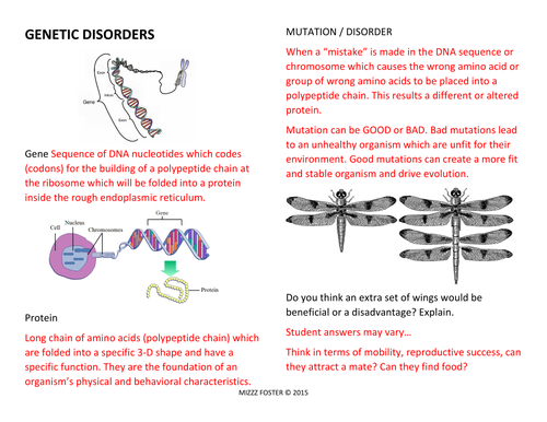 Genetic Disorders: Mistakes in the DNA code, DNA mutations Worksheets ...