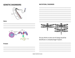 Genetic Disorders: Mistakes in the DNA code, DNA mutations Worksheets ...