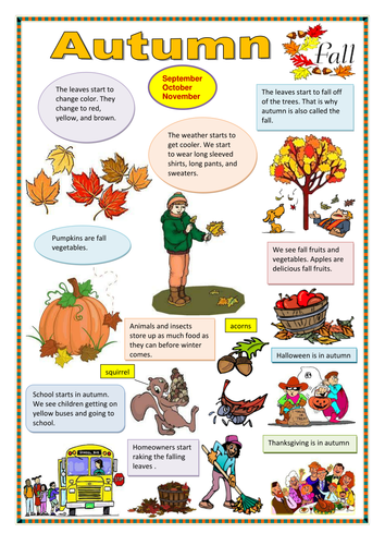 Halloween, Autumn. | Teaching Resources