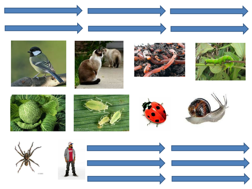 Biology: Ecology - Organisms and their environment. | Teaching Resources