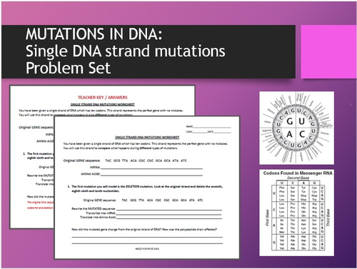 Mutations in DNA: Single strand DNA mutations Problem Set | Teaching ...
