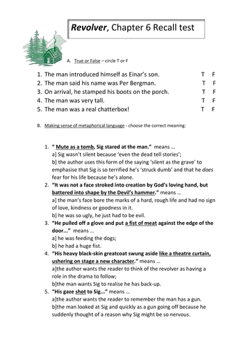 'Revolver' by Marcus Sedgwick: Chapters 5 & 6, structure, recall ...