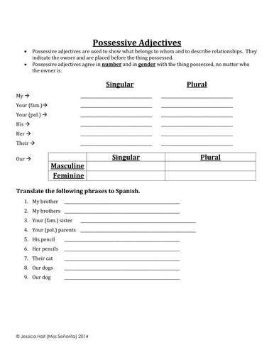 Spanish Possessive Adjectives Lesson | Teaching Resources