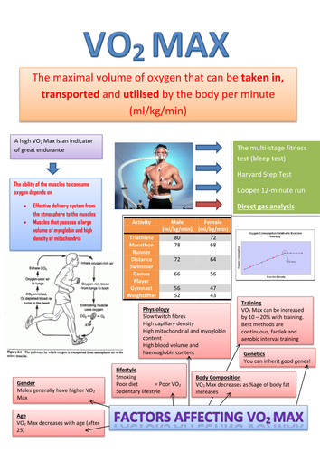 VO2 Max Sheet | Teaching Resources
