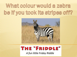 FRIDDLES | Teaching Resources