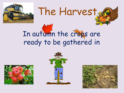 Celebrations, Harvesting the Crops and Harvest Festivals ...